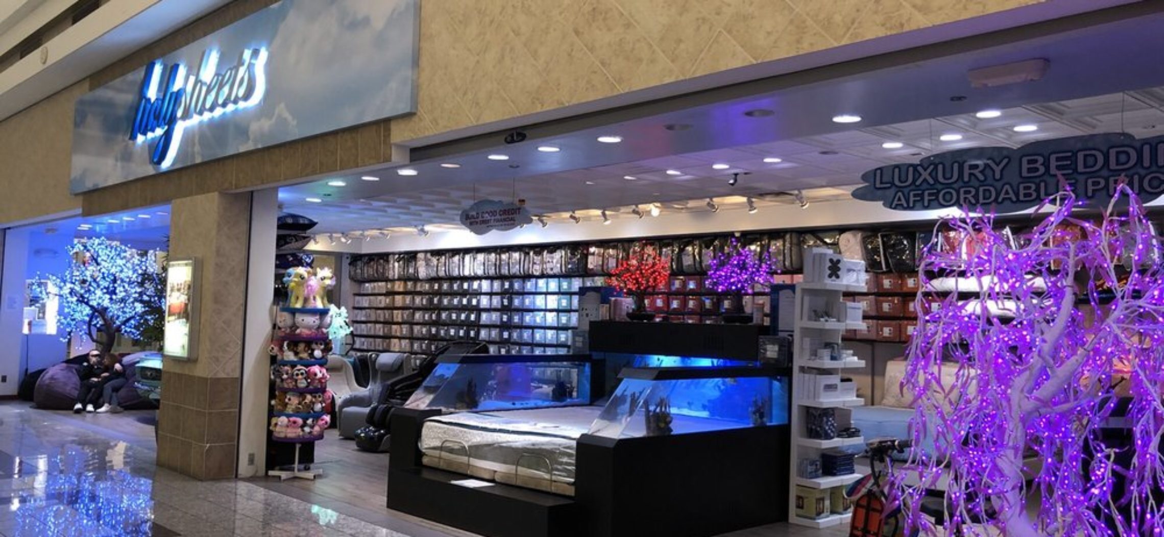 HolySheets: A Franchise Unlike Any Other - thefranchisecourier.com